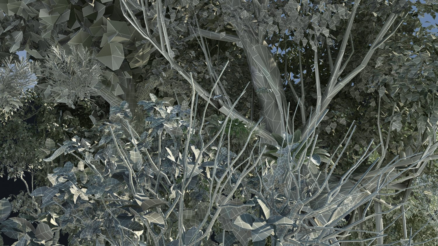 Rainforest 3D Models in Environment 3DExport