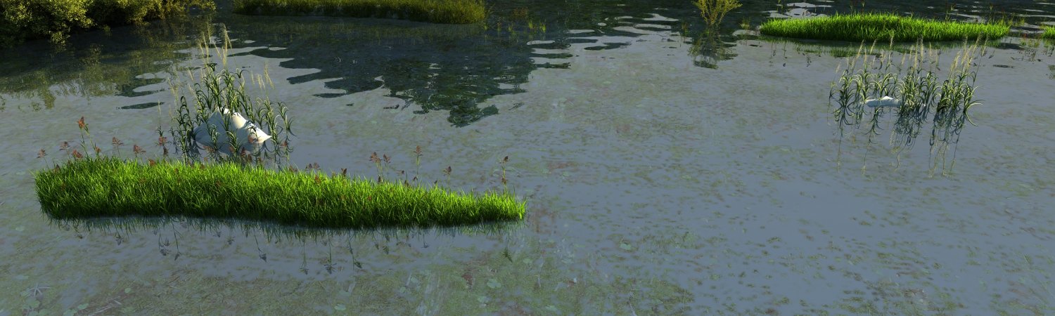 Wetlands 3D Models in Environment 3DExport