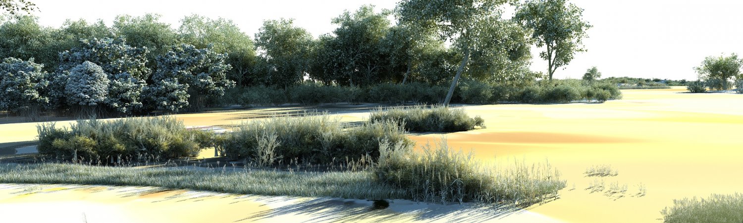 Wetlands 3D Models in Environment 3DExport