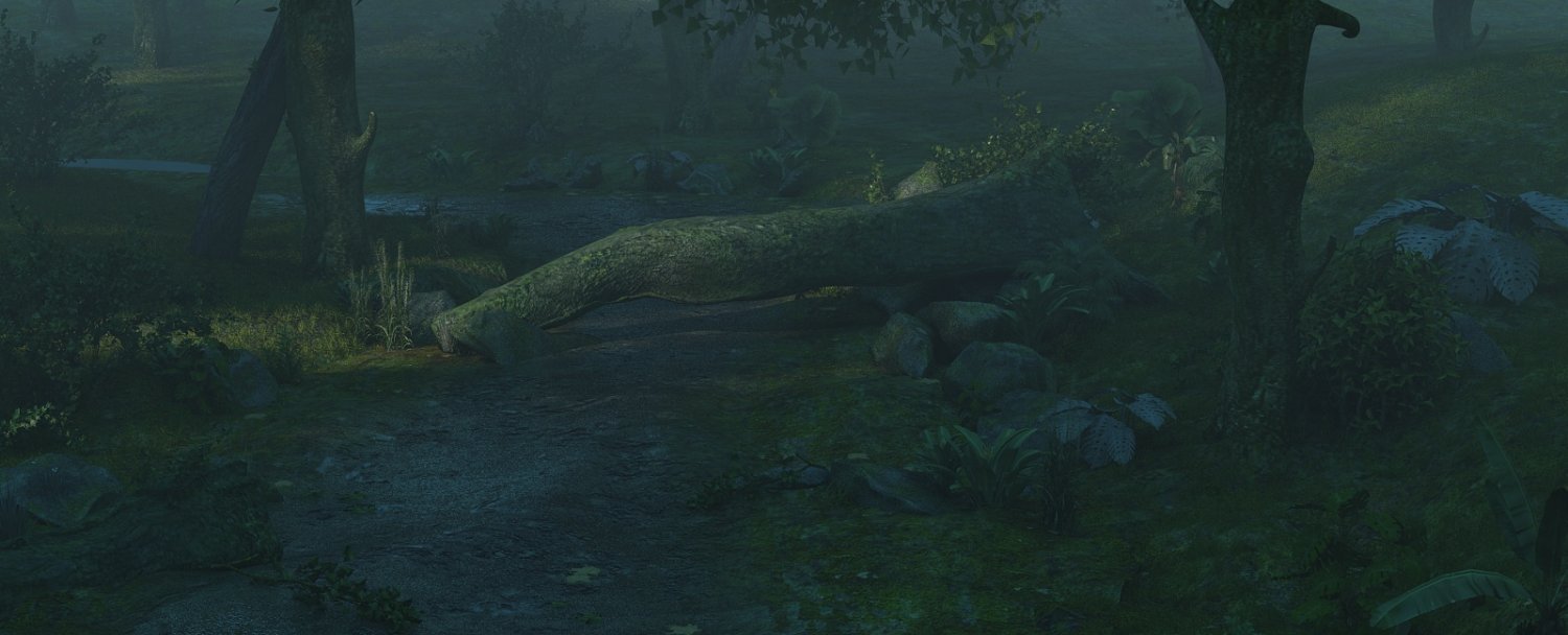 Rainforest 3D Models in Environment 3DExport