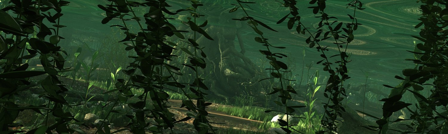 Rainforest 3D Models in Environment 3DExport