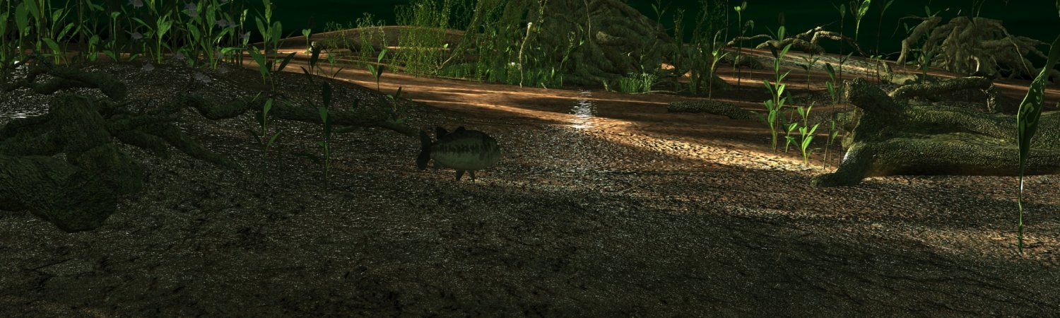 Rainforest 3D Models in Environment 3DExport