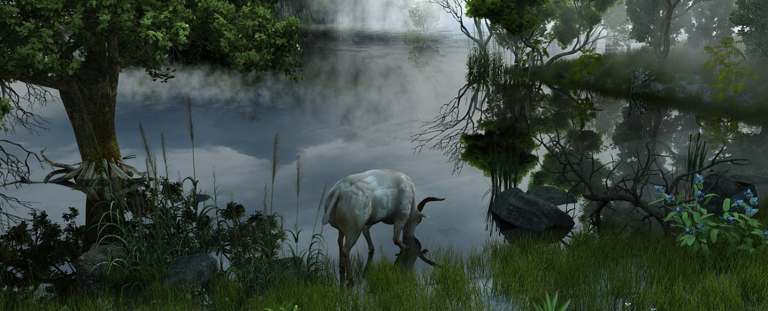 Rainforest 3D Models in Environment 3DExport