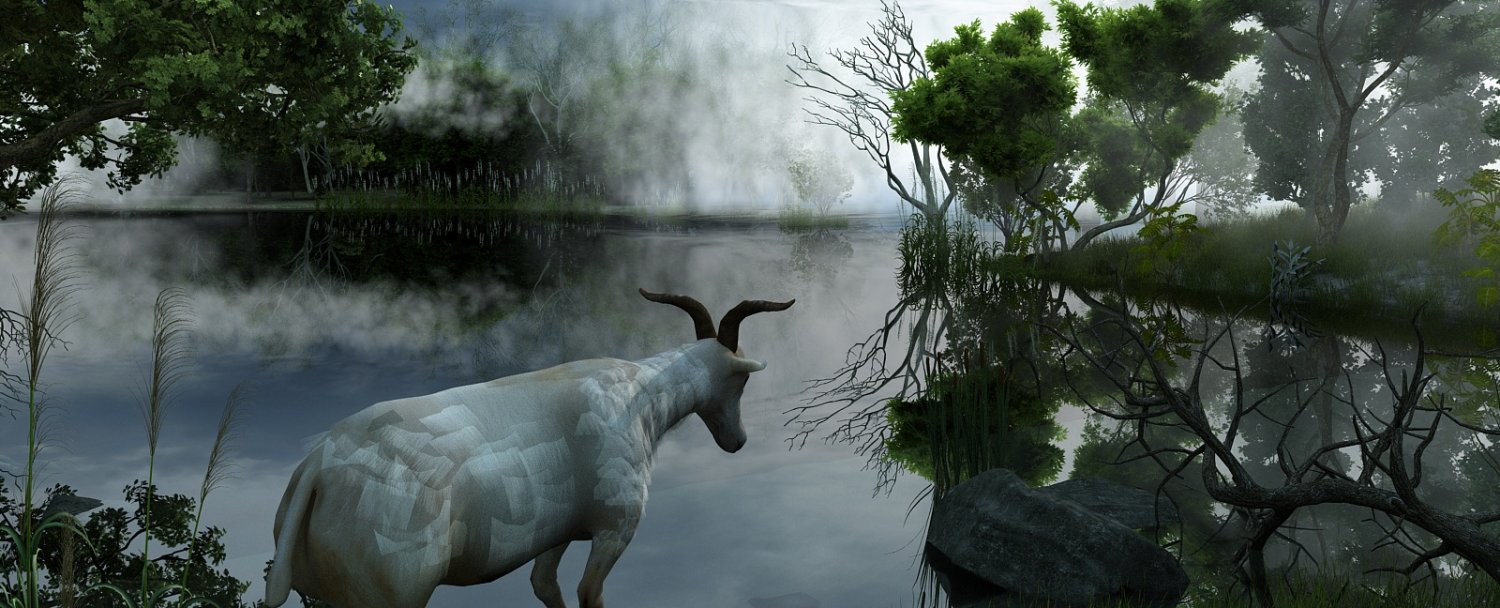 Rainforest 3D Models in Environment 3DExport