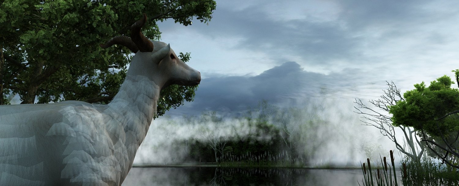 Rainforest 3D Models in Environment 3DExport