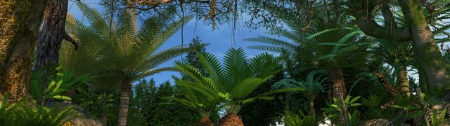 Rainforest 3D Model in Environment 3DExport