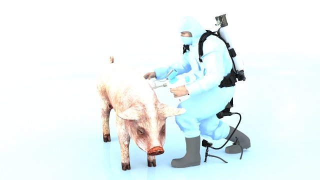 Pig injection 3D Model in Pig 3DExport