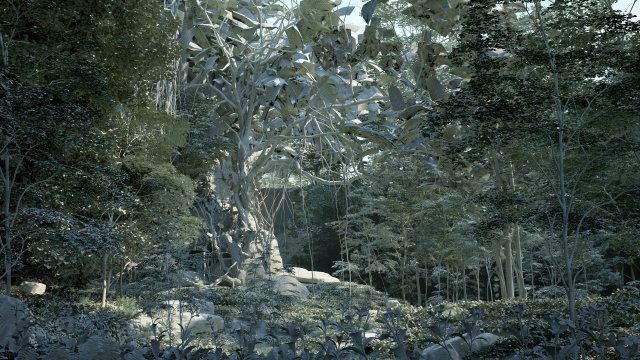 Rainforest 3D Model in Environment 3DExport