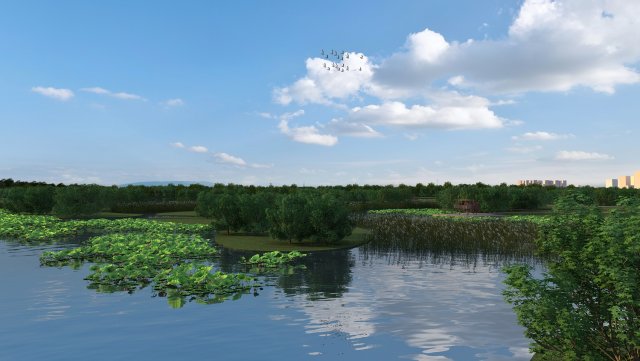 Wetlands 3D Model in Environment 3DExport