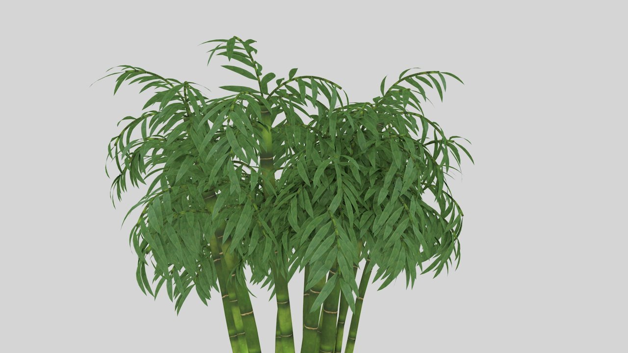 bamboo low-poly 3D Models in Tree 3DExport