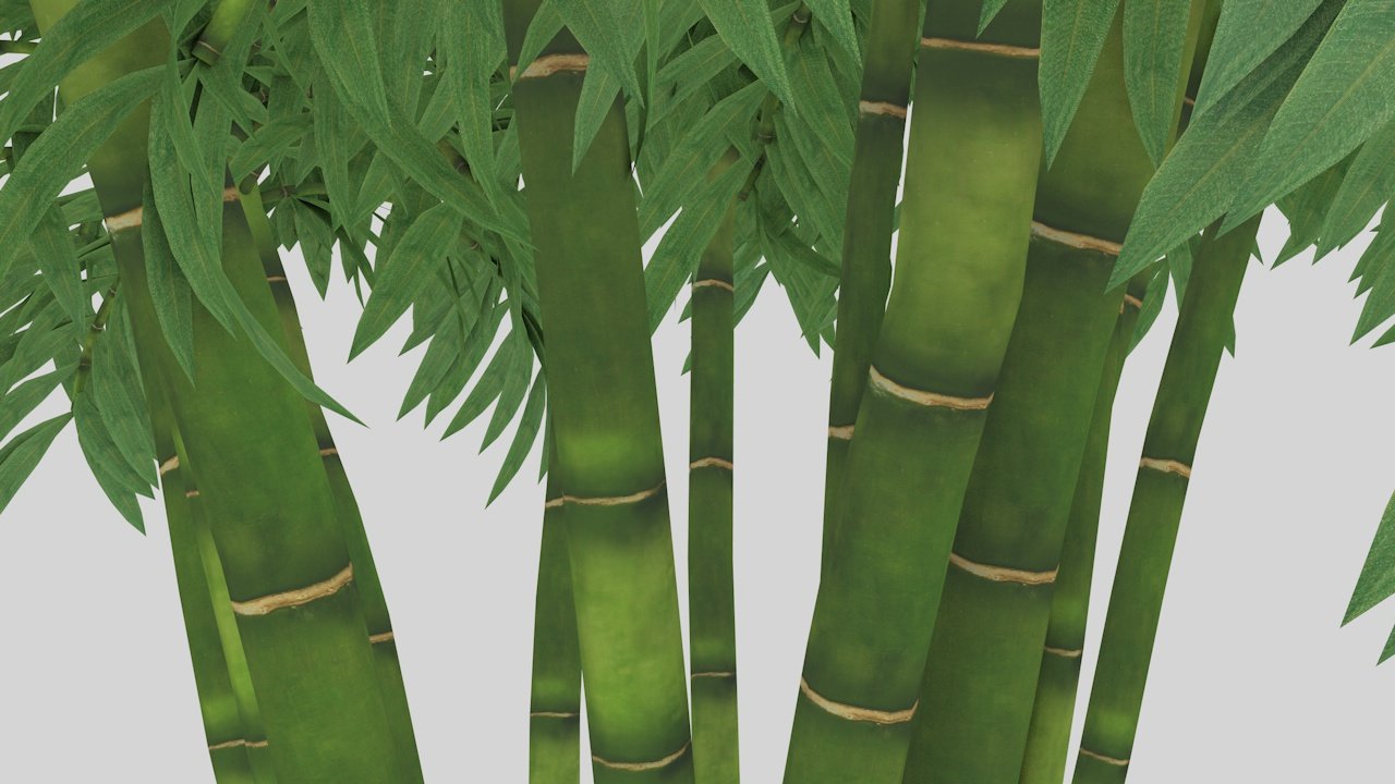 bamboo low-poly 3D Models in Tree 3DExport