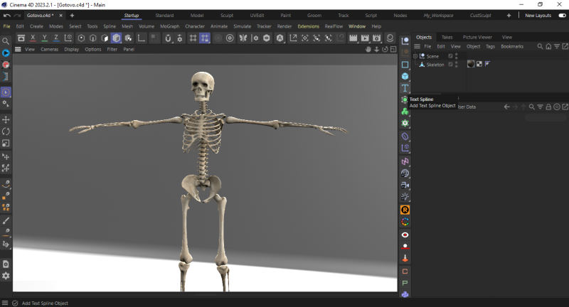 Realistic Human Skeleton 3D Model in Anatomy 3DExport