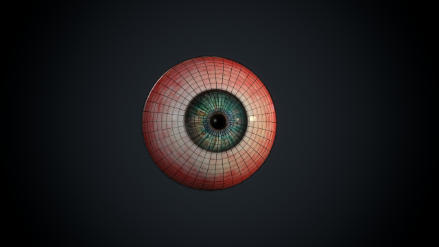 realistic eye 3D Model in Anatomy 3DExport