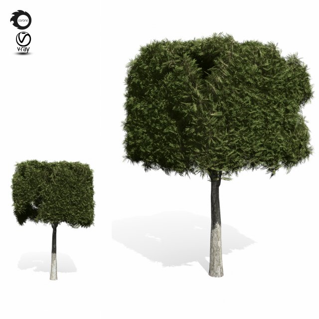 topiary tree 3D Model in Tree 3DExport