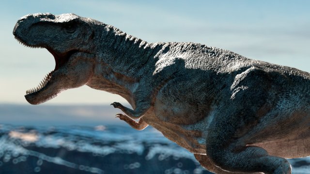 tyrannosaurus rex rigged animated 3D Model in Dinosaur 3DExport