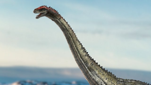 brontosaurus 3d rigged model 3D Model in Dinosaur 3DExport