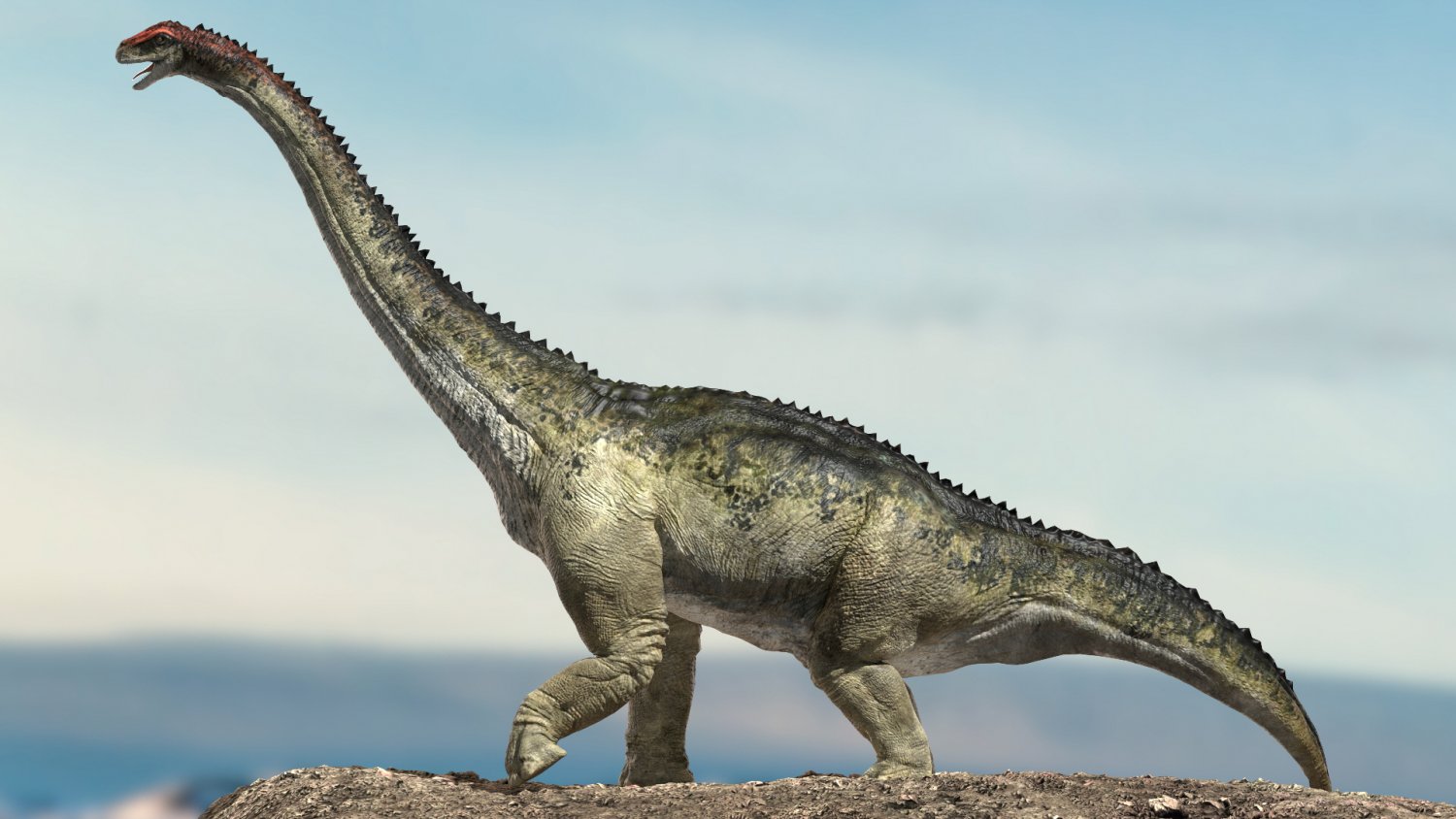 Brontosaurus 3D Rigged model 3D Model in Dinosaur 3DExport
