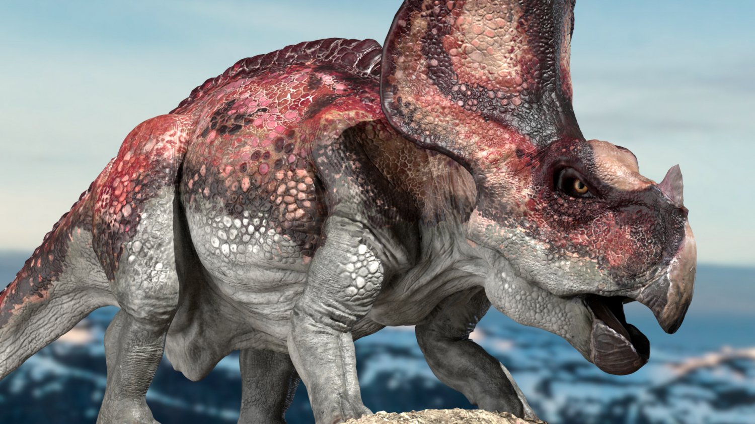 Dinosaur Train Protoceratops