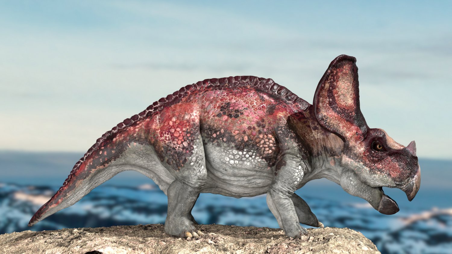 Dinosaur Train Protoceratops