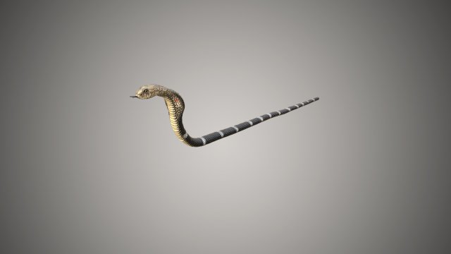 realistic snake and king cobra rigged low poly 3D Model in Reptile 3DExport