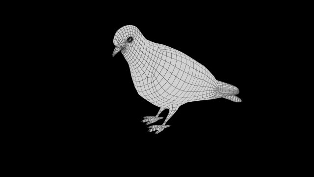 pigeon low poly rigged game ready 3D Model in Bird 3DExport