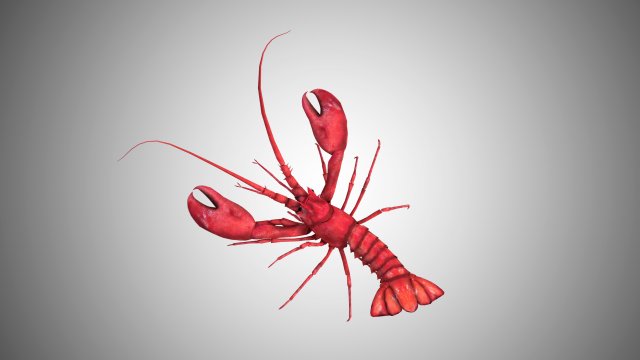 realistic rigged low poly lobster 3D Model in Aquatic 3DExport