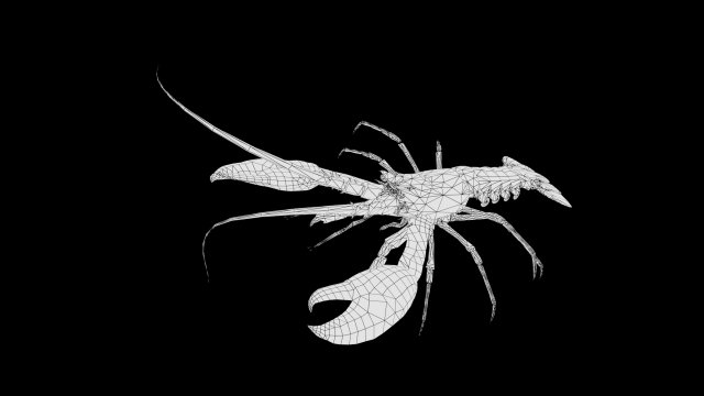 realistic rigged low poly lobster 3D Model in Aquatic 3DExport