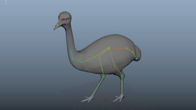 realistic rigged low poly ostrich 3D Model in Aquatic 3DExport
