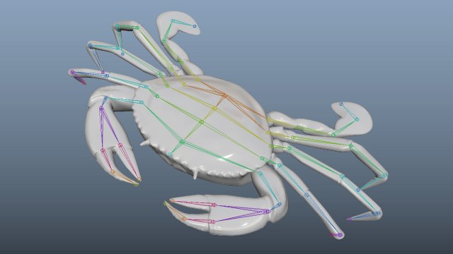 crab low poly realistic high detailed rigged low poly 3D Model in Fish ...