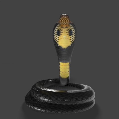 king cobra snake low poly 3D Model in Reptile 3DExport