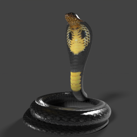 king cobra snake low poly 3D Model in Reptile 3DExport