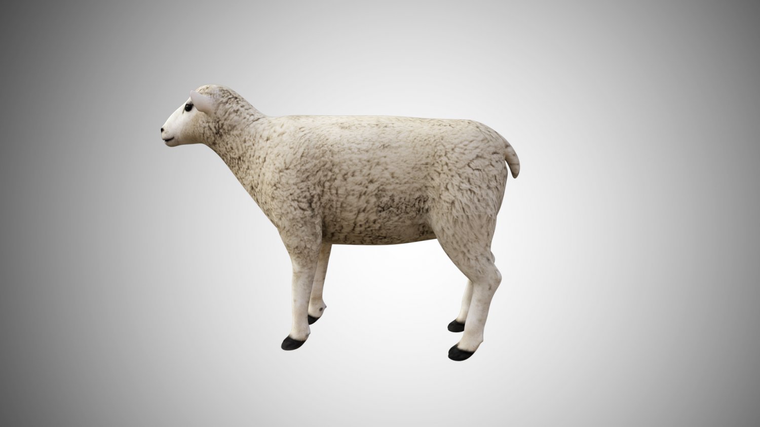 realistic high detailed rigged low poly sheep 3D Modelle in Schaafe ...