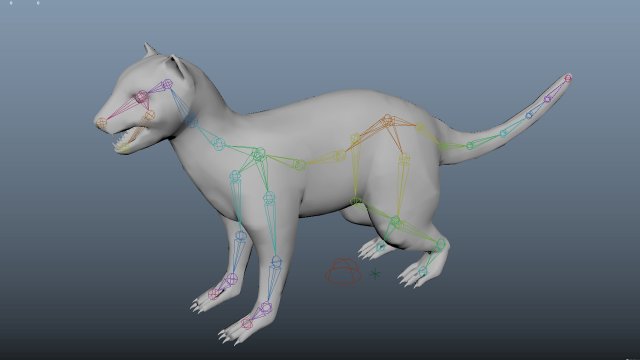 3d realistic rigged low poly high detailed low poly mongoose 3D Model ...