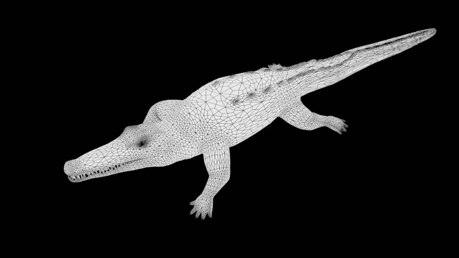 Crocodile Alligator Low Poly Rigged 3D Model in Other 3DExport