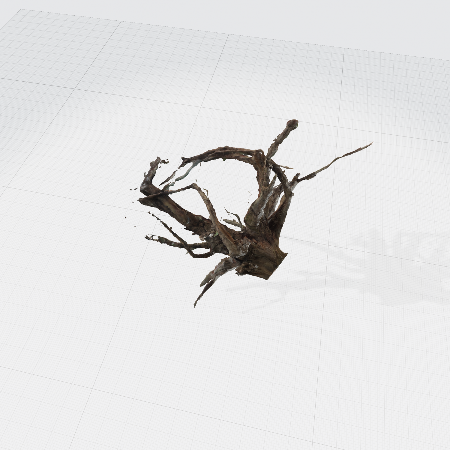 root 3D Models in Tree 3DExport