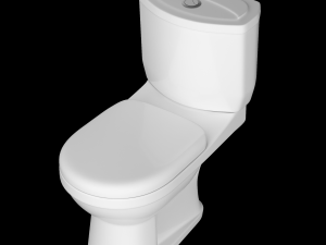 Ewc toilet store