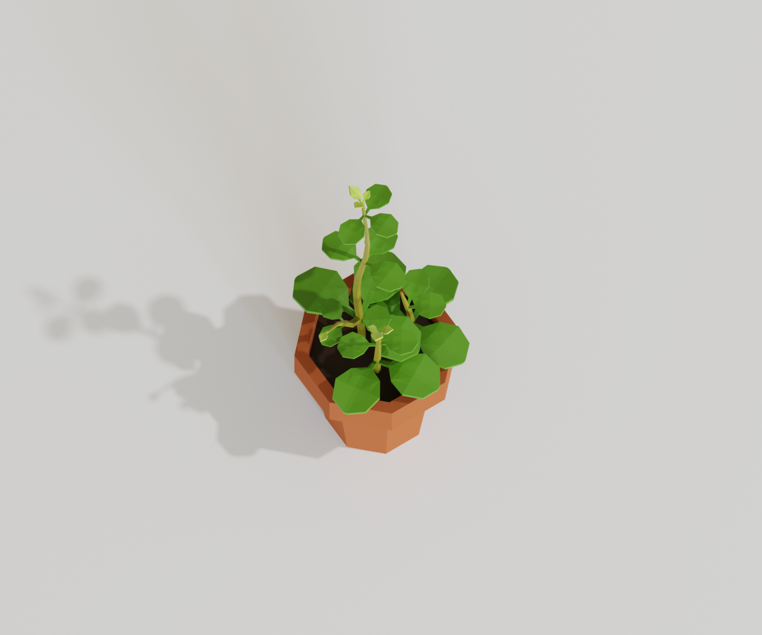 cartoon house plant 3D Models in Small Plants 3DExport