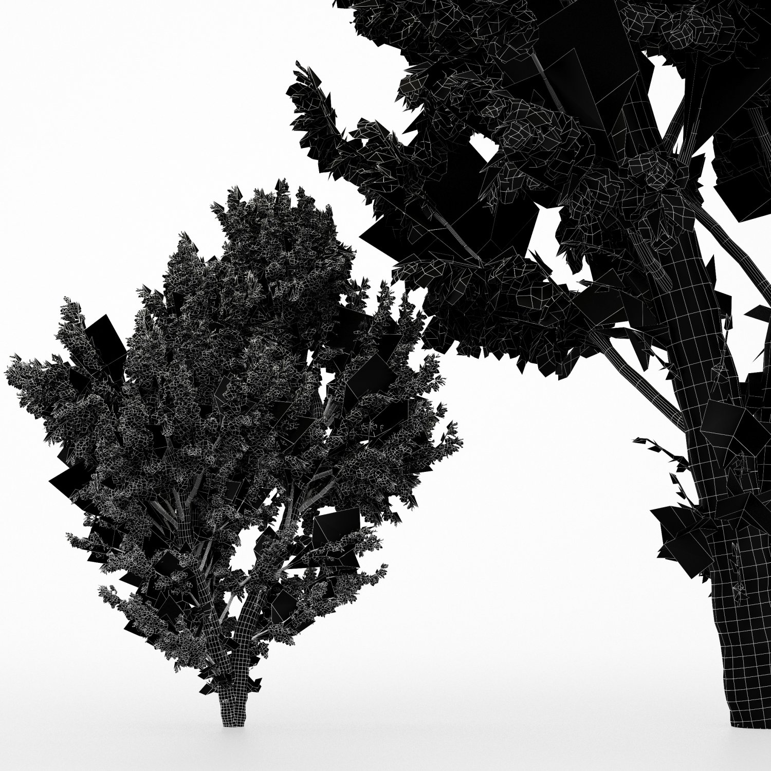 5diffrent tree White Birch 5 trees Models in the scene 3D Model in Tree ...