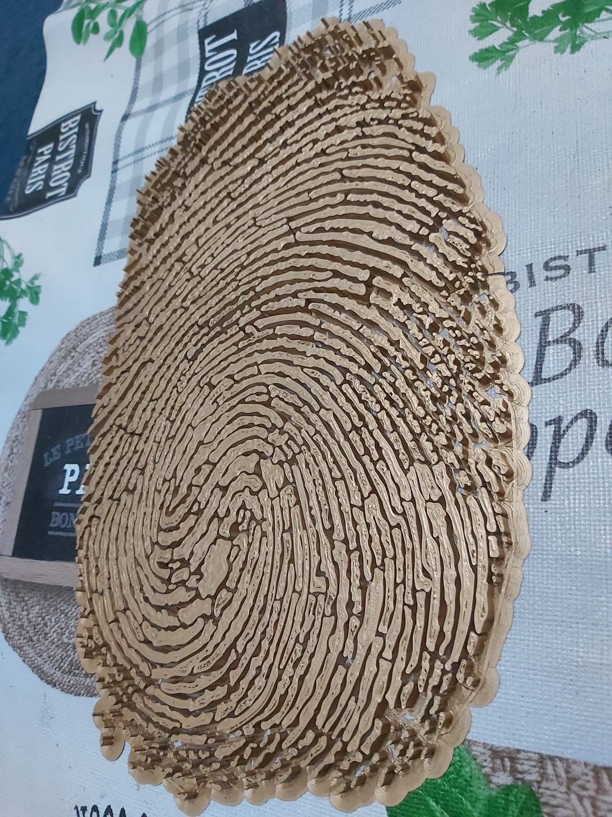 fingerprint 3D Print Models in Anatomy 3DExport