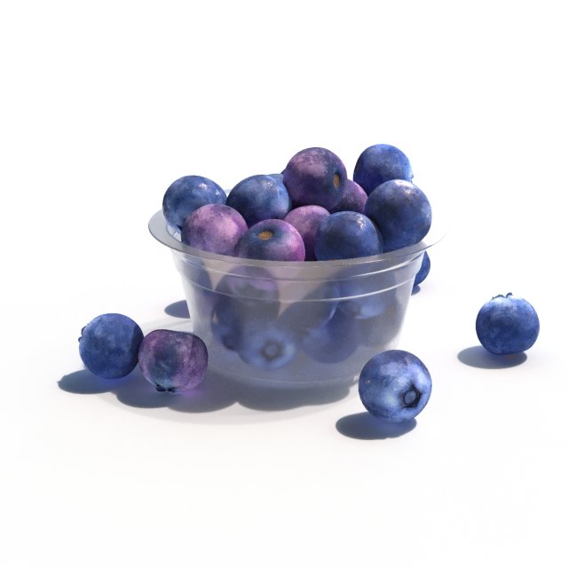blueberry 3D Model in Fruit 3DExport