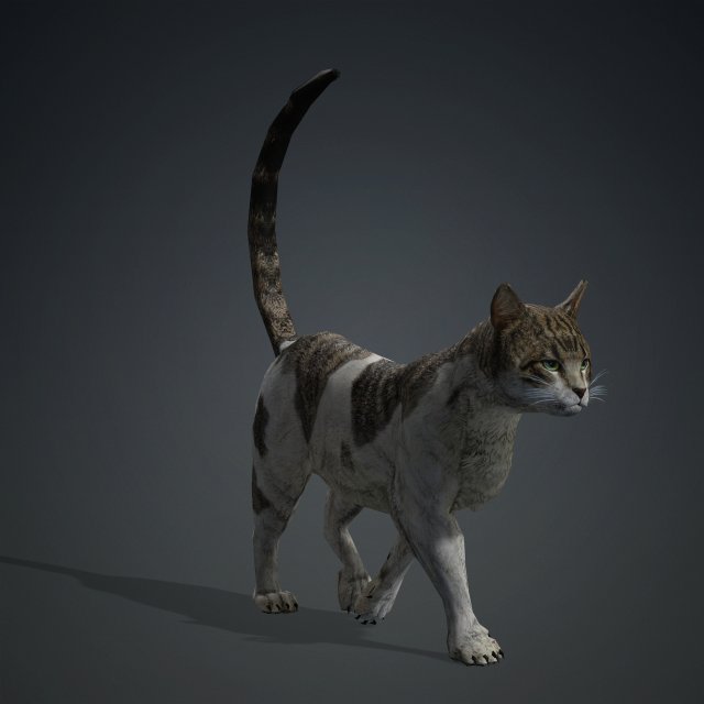 DOWNLOAD CAT 3D MODEL CAT - FELINE 3D Model in Cat 3DExport