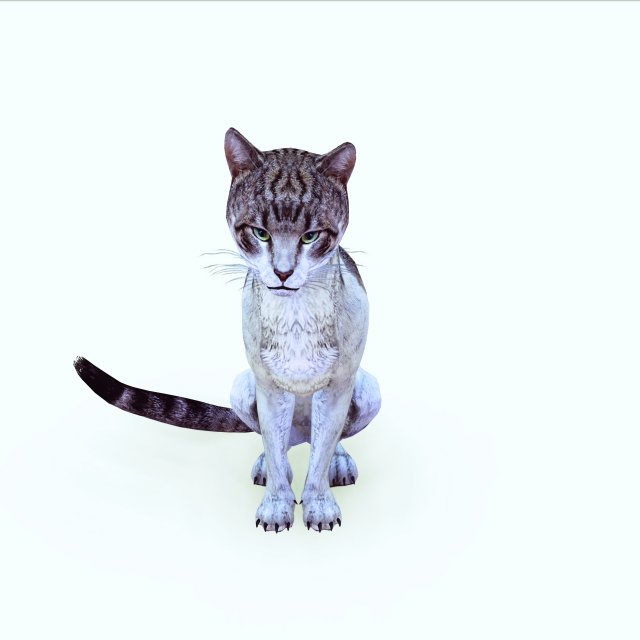 DOWNLOAD CAT 3D MODEL CAT LIONESS TIGER LION CHEETAH LEOPART PREDATOR ...