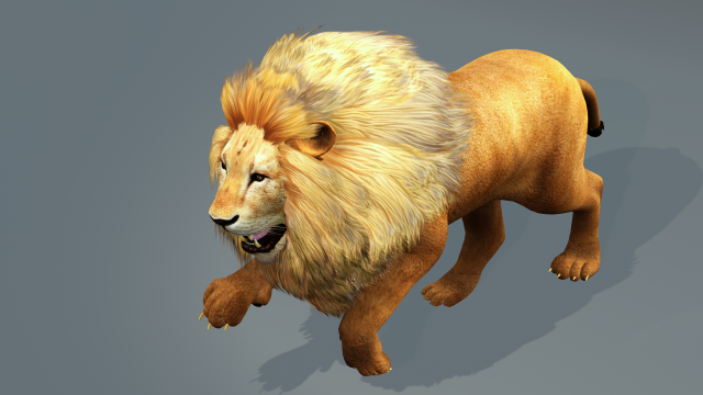 DOWNLOAD CAT 3D MODEL CAT LIONESS TIGER LION CHEETAH LEOPART PREDATOR ...