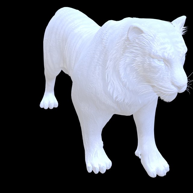 DOWNLOAD CAT 3D MODEL CAT LIONESS TIGER LION CHEETAH LEOPART PREDATOR ...