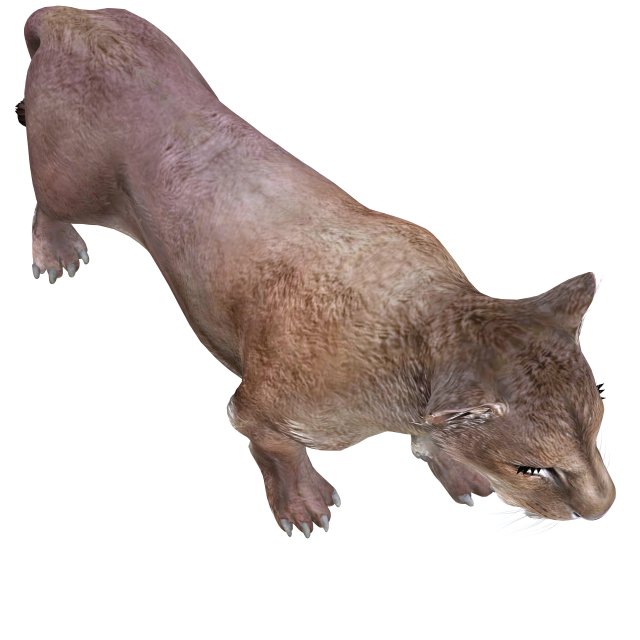 DOWNLOAD CAT 3D MODEL CAT LIONESS TIGER LION CHEETAH LEOPART PREDATOR ...