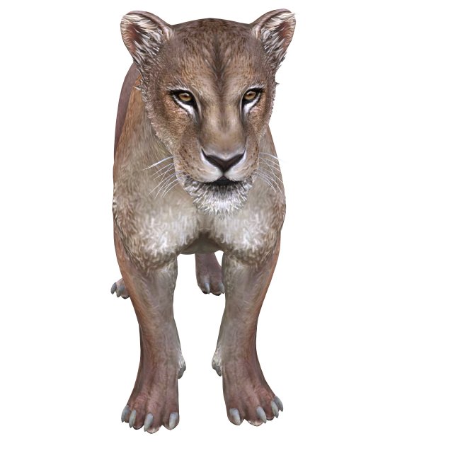 DOWNLOAD CAT 3D MODEL CAT LIONESS TIGER LION CHEETAH LEOPART PREDATOR ...