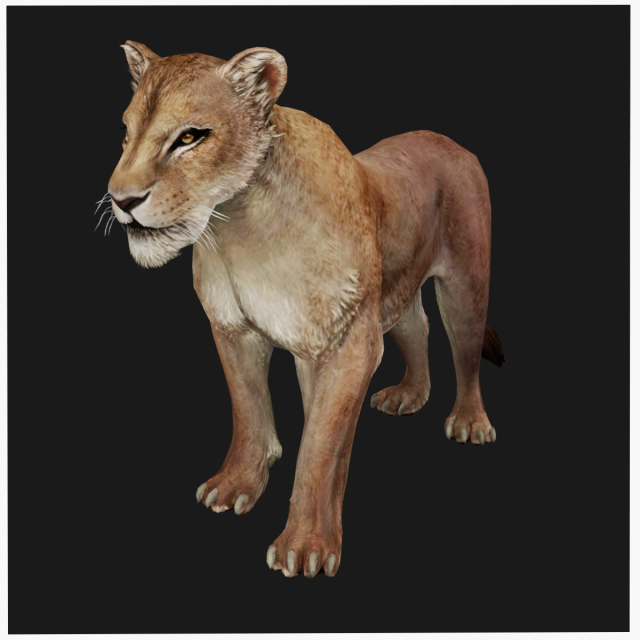 DOWNLOAD CAT 3D MODEL CAT LIONESS TIGER LION CHEETAH LEOPART PREDATOR ...