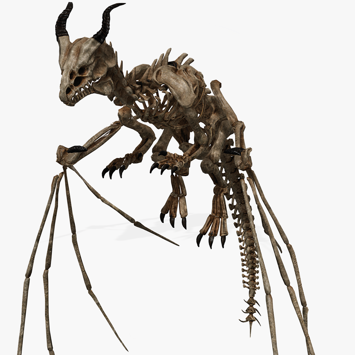 Dragon Skeleton Skyrim