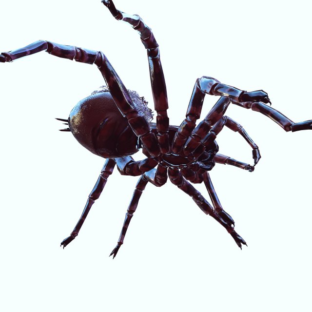Spider Animated QUEEN SPIDER ARACHNID 3D Model in Spider 3DExport