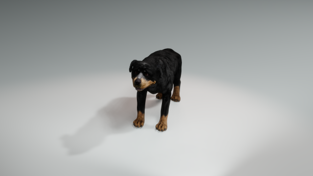 Rottweiler DOG 3D Model in Dog 3DExport